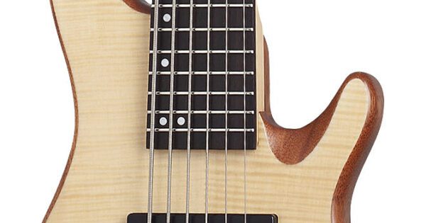 Guitar Center partners with Schecter to launch exclusive SC-6 six ...