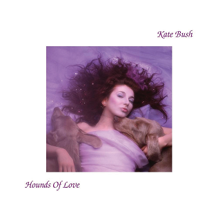 My Favorite Album: ILUKA Loves Bush's Hounds of Love